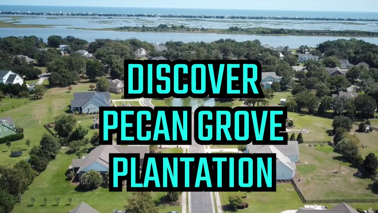 The Surprising Truth About Pecan Grove Plantation Nobody Tells You ...