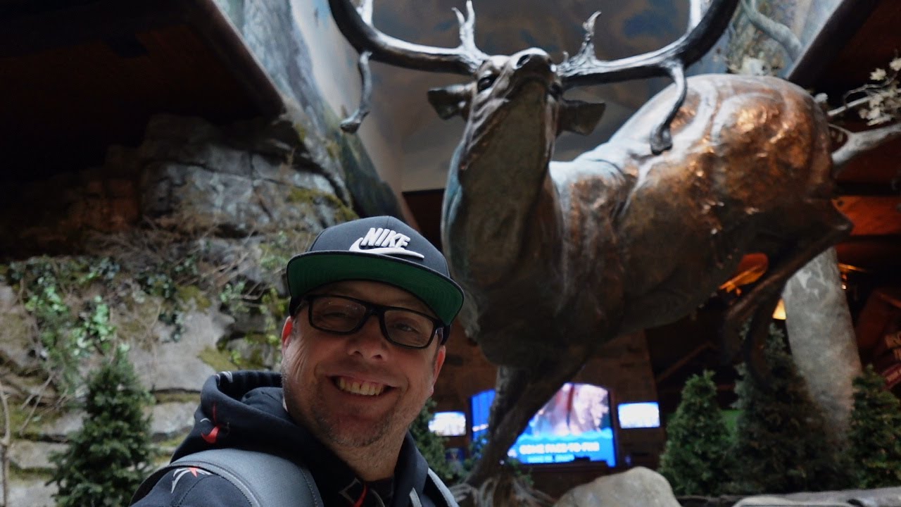 Exploring Bass Pro Shops In Springfield Missouri | Saw Turtles, Fish ...