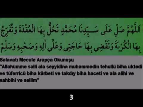 Salava ı Mecule 100 Adet