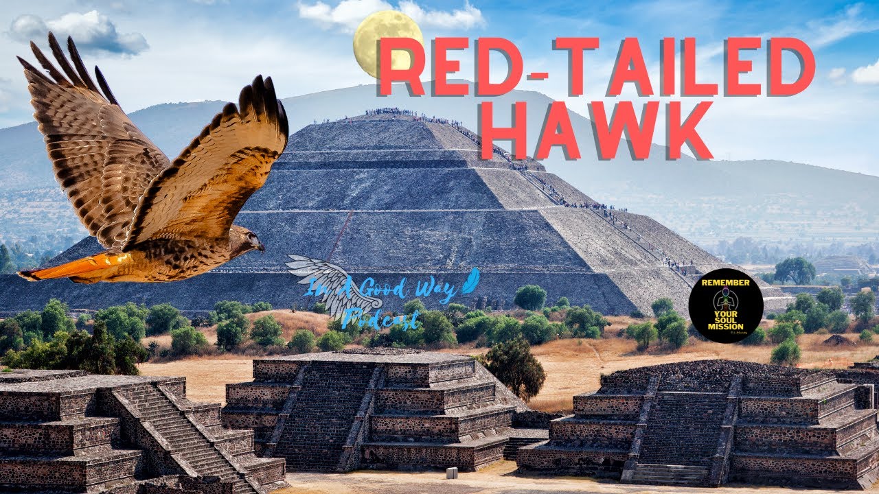 Red-Tailed Hawk - Guardian of Earth - Spirit Animal -Ted Andrews ...