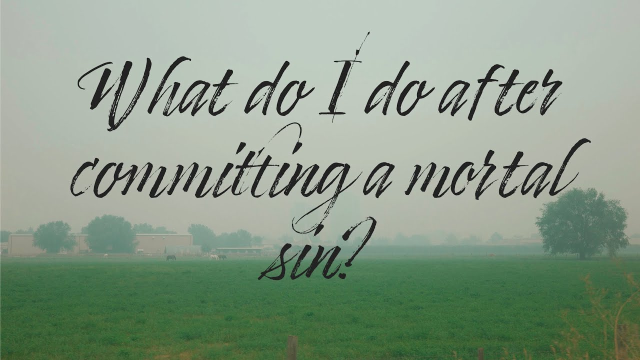 What to do after committing a mortal sin - YouTube
