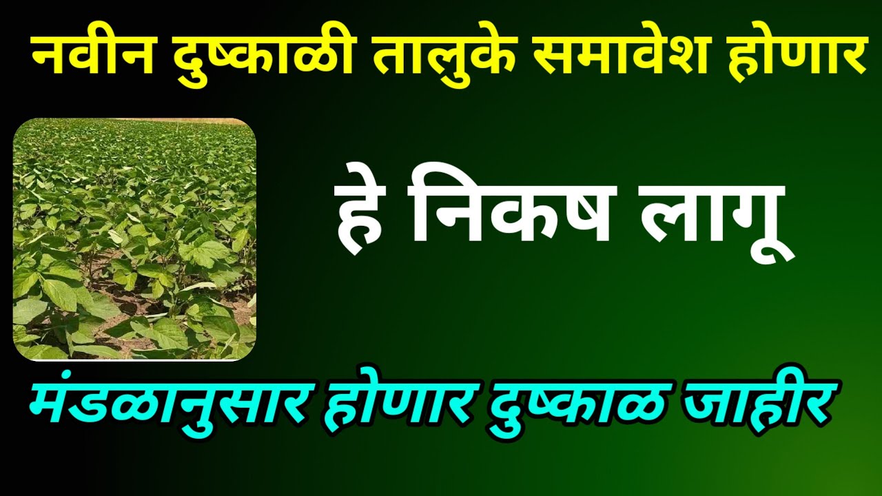 उर्वरित तालुक्यात दुष्काळ जाहीर होणार ️ | dushkal news | dushkal anudan ...