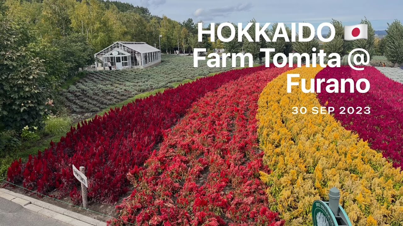 HOKKAIDO: Furano (Farm Tomita) - YouTube