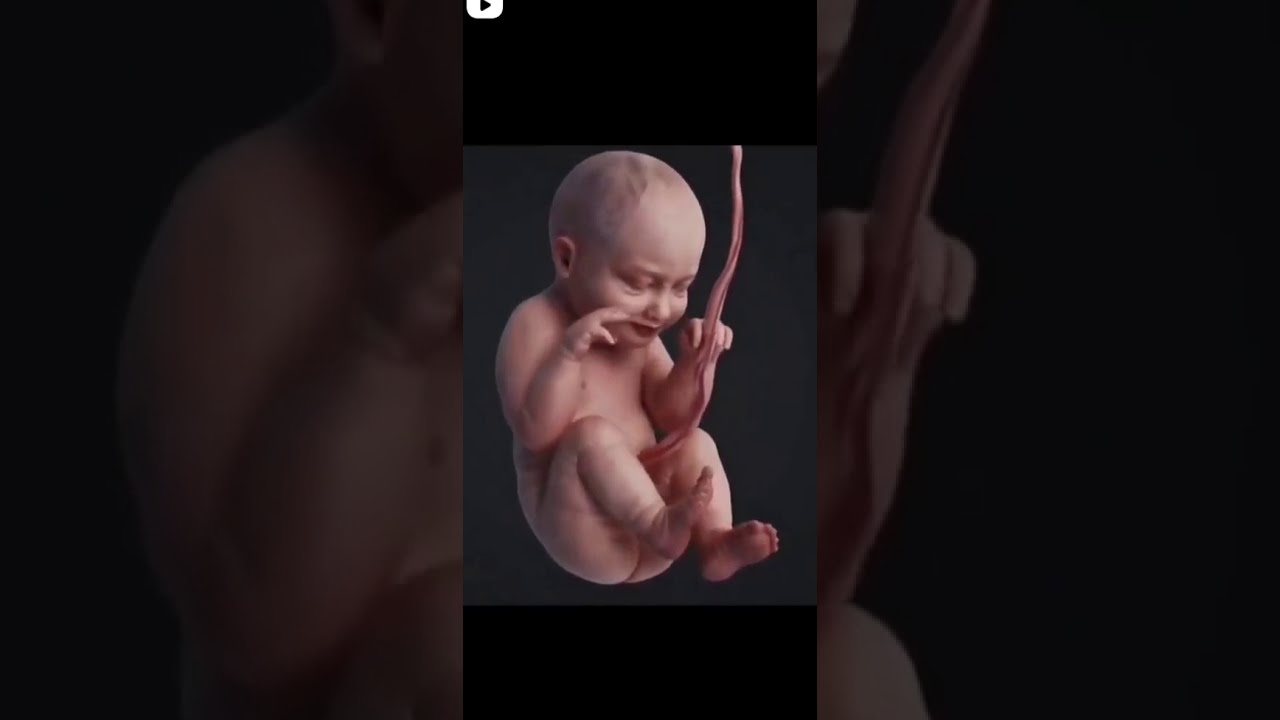 Baby Born Video || New Baby Born Process || Cute Baby Status 💓 - YouTube