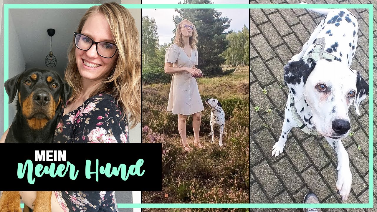 NEUER HUND! | Mit Anila beim Obedience Turnier | Traumhaftes ...