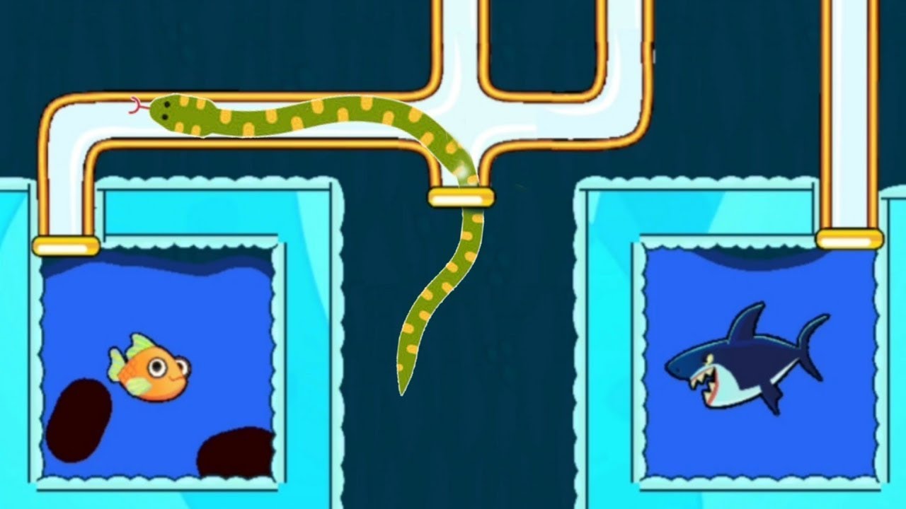 Save the fish gameplay New update All level Part 263 - YouTube