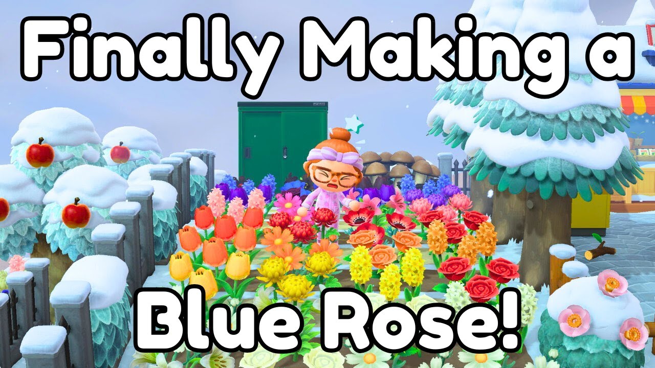 attempting to breed a blue rose! ACNH chill stream - YouTube