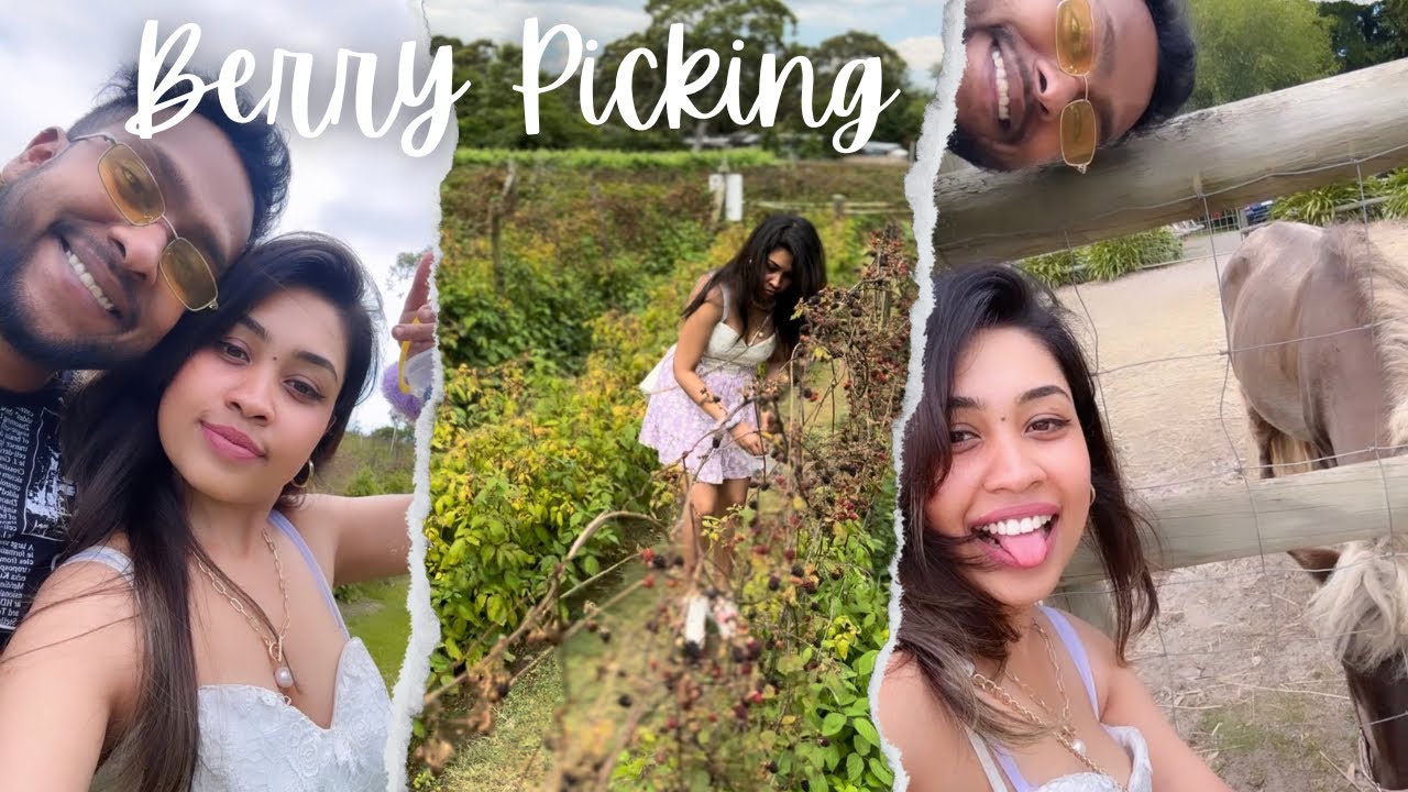 COME TO GO ,BERRY PICKING WITH ME IN AUSTRALIA 🇦🇺🍓🫐 මං ජීවිතේ පළවෙනි ...