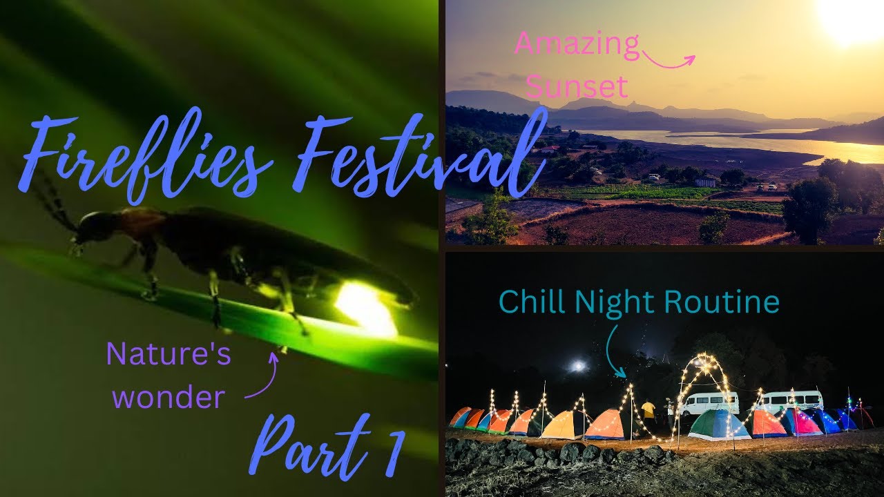 काजवा महोत्सव | निसर्गाचा अद्भुत चमत्कार| Bhandardara | Fireflies ...