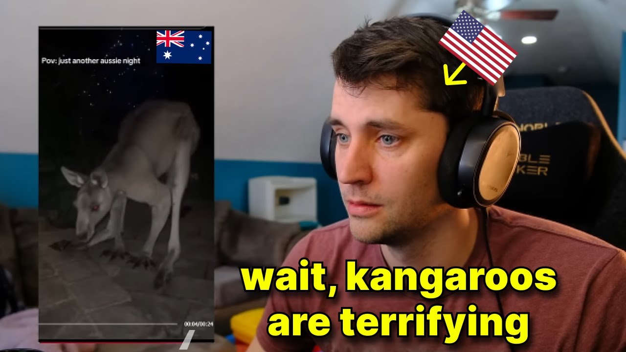 This kangaroo video is terrifying Americans including me - YouTube