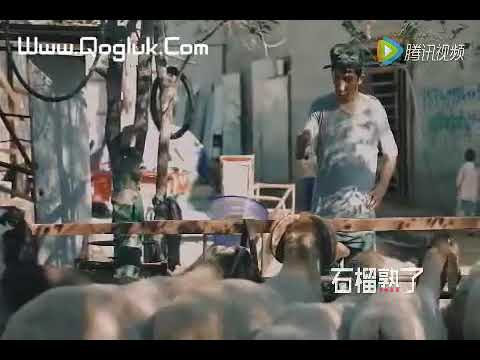 Mırt video baxın!!!