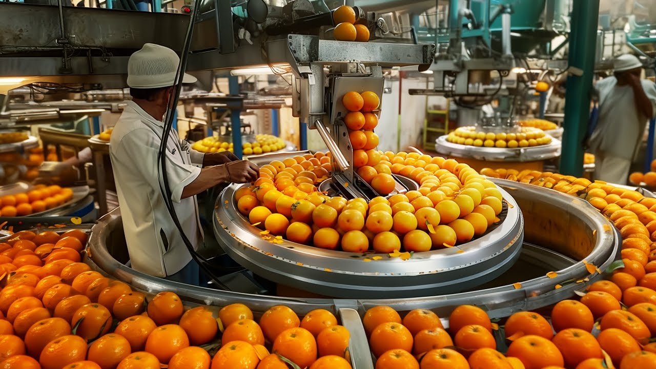 Satisfying Videos of Workers That Work Extremely Well, I Can t Stop ...