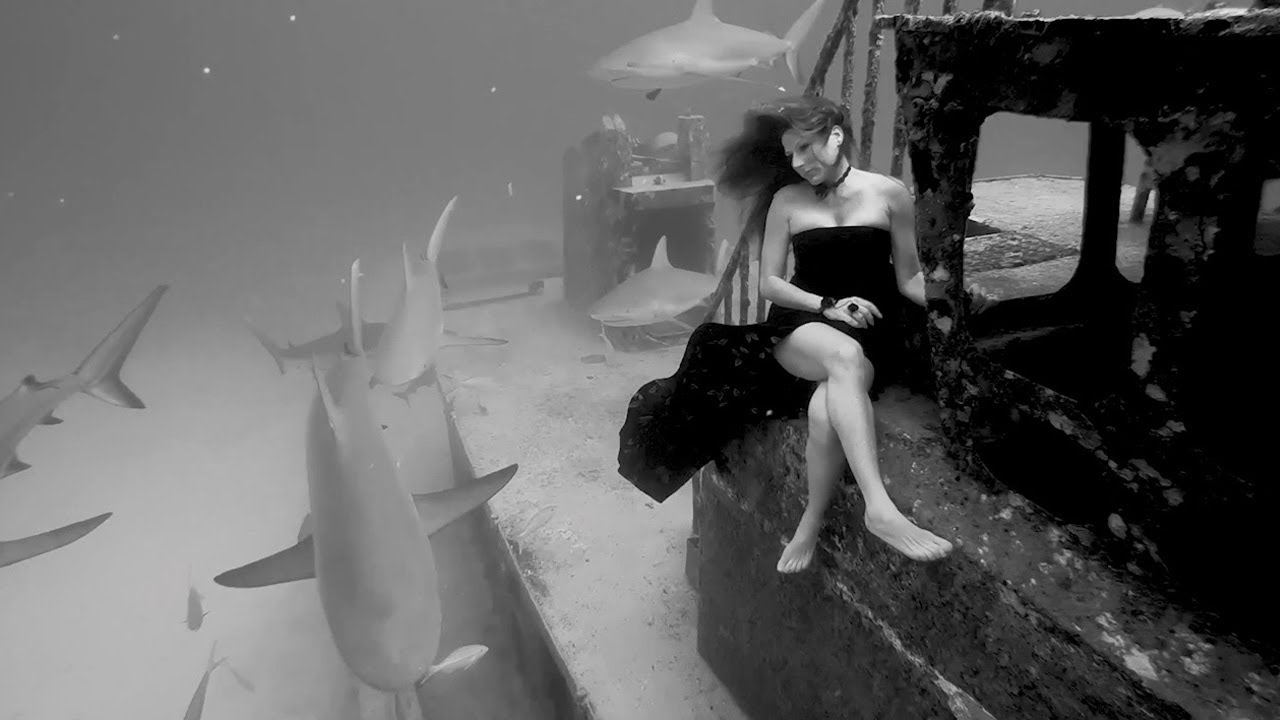 Brave Model Poses Next To Sharks In Underwater Photoshoot - YouTube
