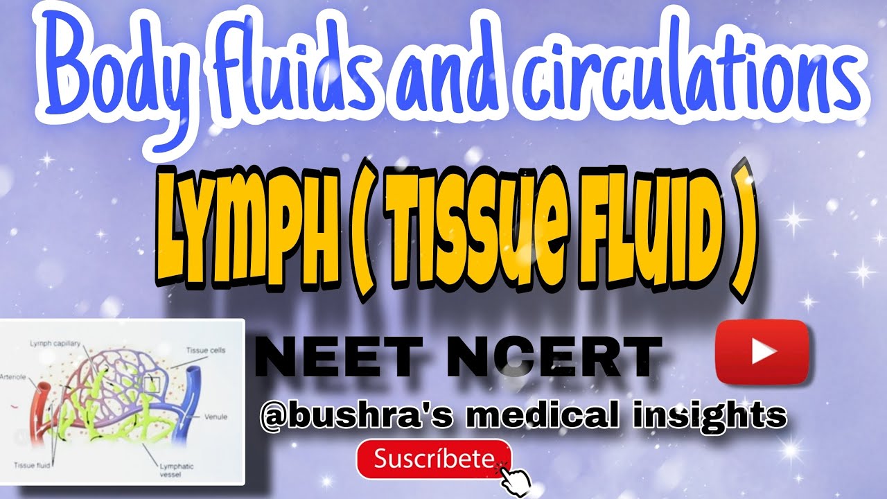 Lymph (Tissue fluid) || Body fluids and circulation || NEET NCERT ...