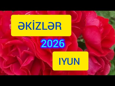 ƏKİZLƏR BÜRCÜ.♊ IYUN.❤️ TARO-PROQNOZ. 🌹 2026. 