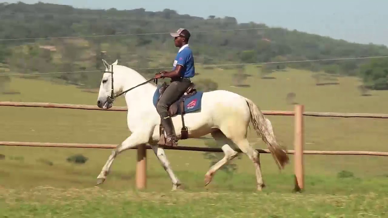 02 BELA INÊS EMP 50% - YouTube