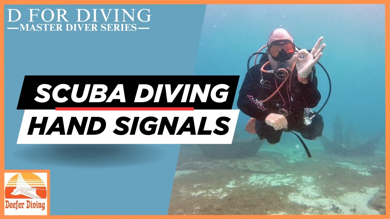 Underwater Communication: The Language Of The Deep - YouTube