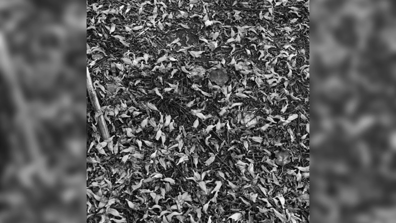 YAYYOUNG - jealousy - YouTube