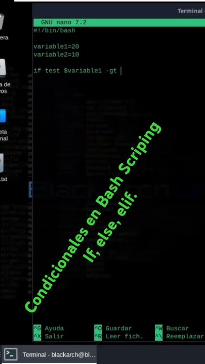 Así funcionan las condicionales en bash scripting - YouTube