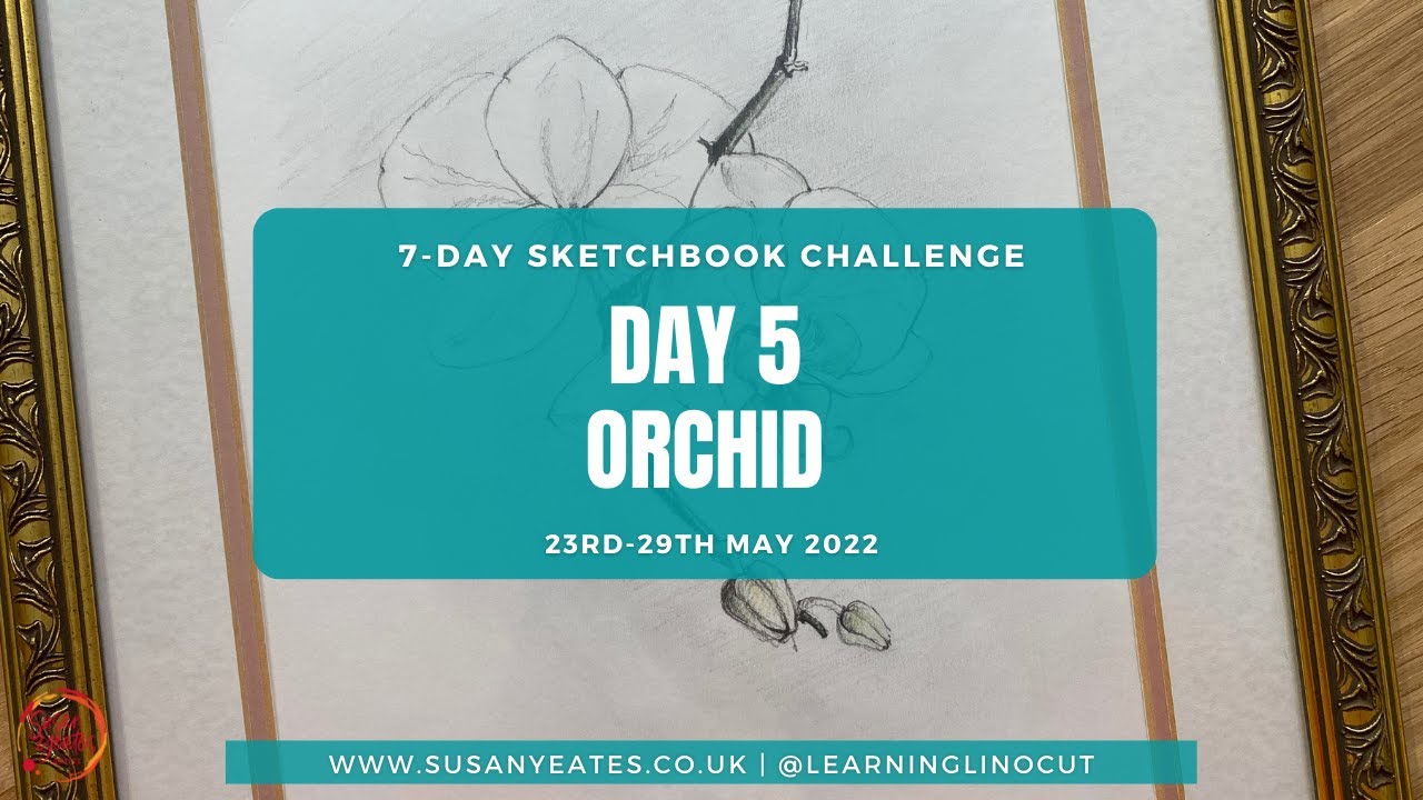 Day 5: 7-Day Sketchbook Challenge, May 2022 - YouTube
