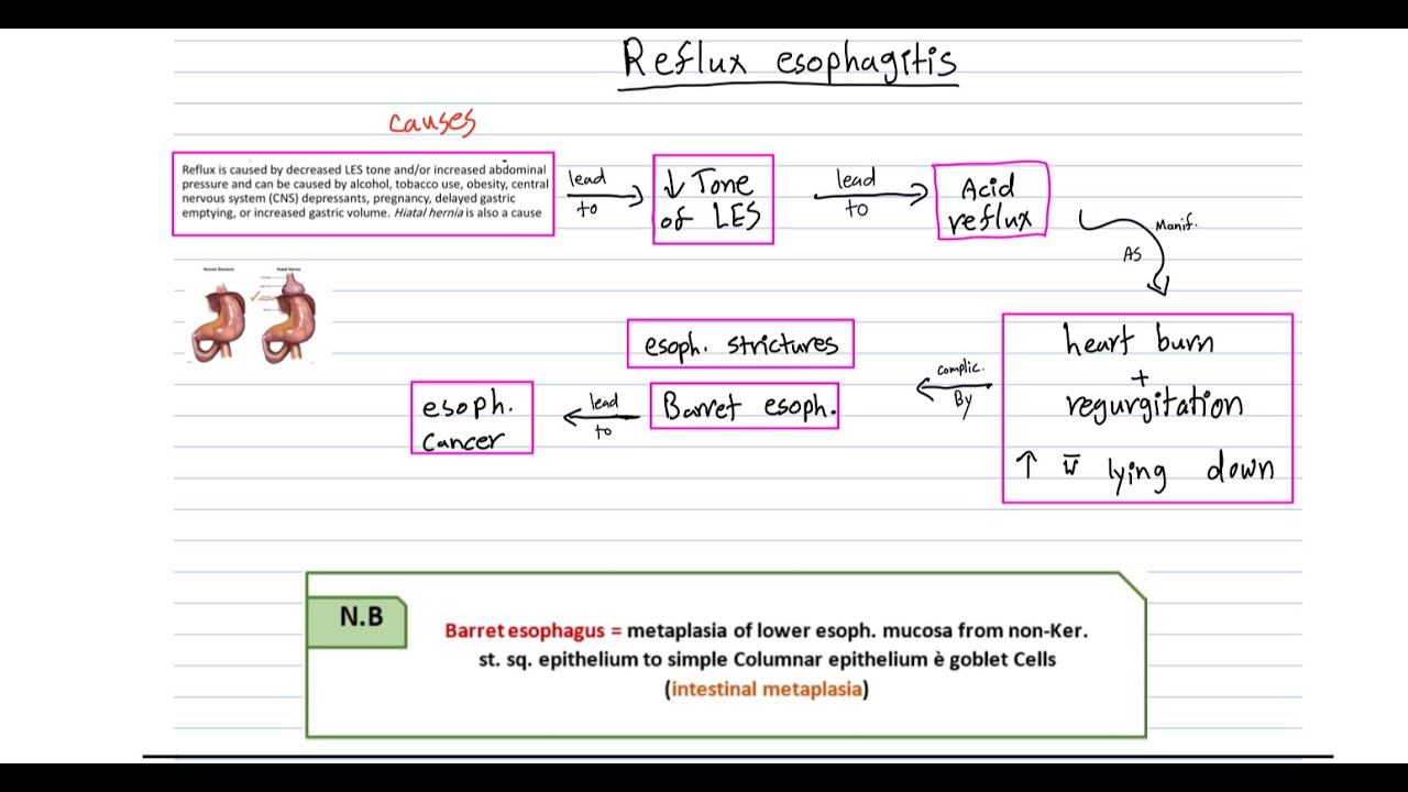 Git Session 5 Lecture 1 Youtube 9627