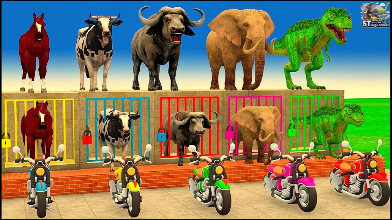 Crazy 3D Animal Slide Adventure Rampage - YouTube