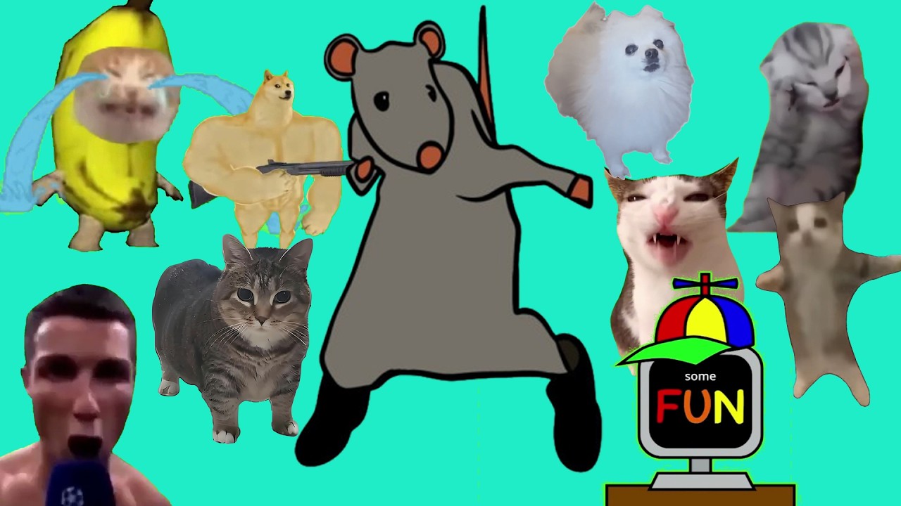 Chess type beat (Rat Dance) but Meme Cats Sing It - YouTube