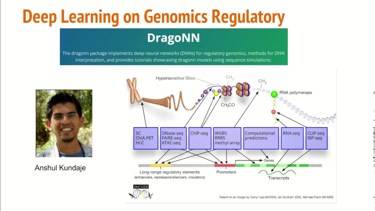 Deep Learning and Bioinformatics 7 / 10 - Genomic Regulation - YouTube