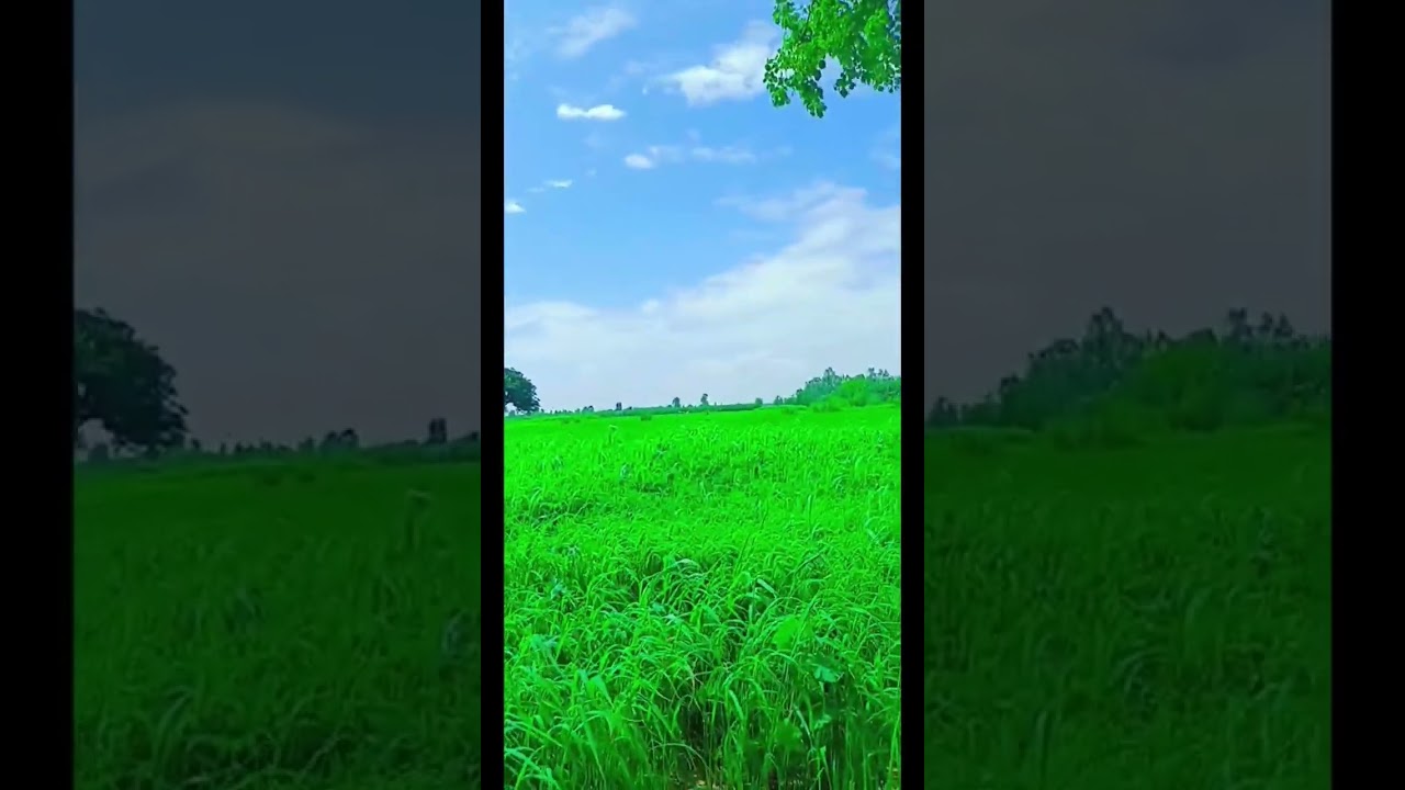 Hariyali Hi Hariyali Khubsurat Hariyali Shorts Youtube