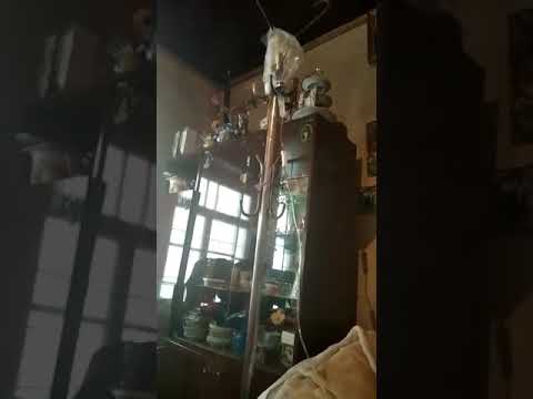 Genc Dinara yardim edek.