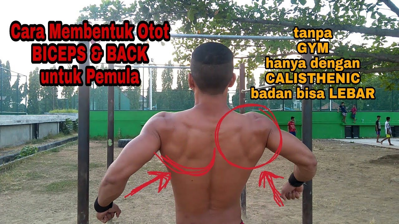 Latihan Cara Membentuk Otot BICEPS & BACK Untuk Pemula | CALISTHENIC ...