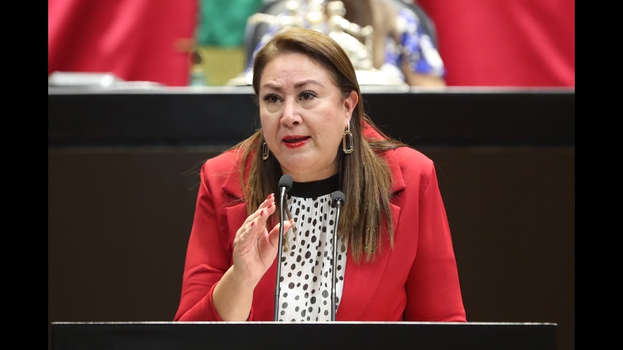 Dip. María Leticia Chávez Pérez (MC) / Presentación de Iniciativa - YouTube