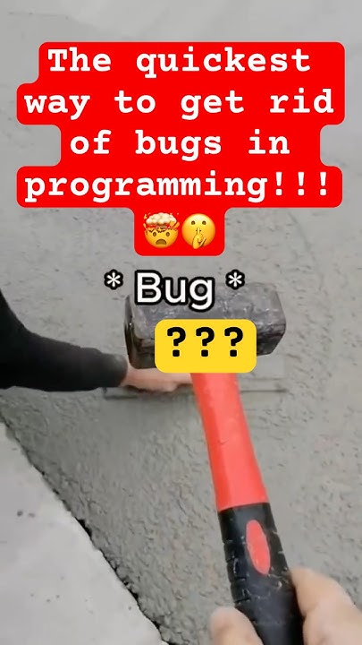 The quickest way to get rid of bugs in programming! - YouTube