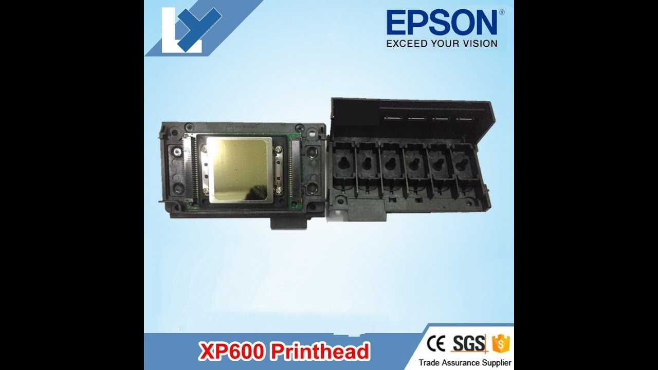 XP 600 Epson authorized and non-authorized head - YouTube