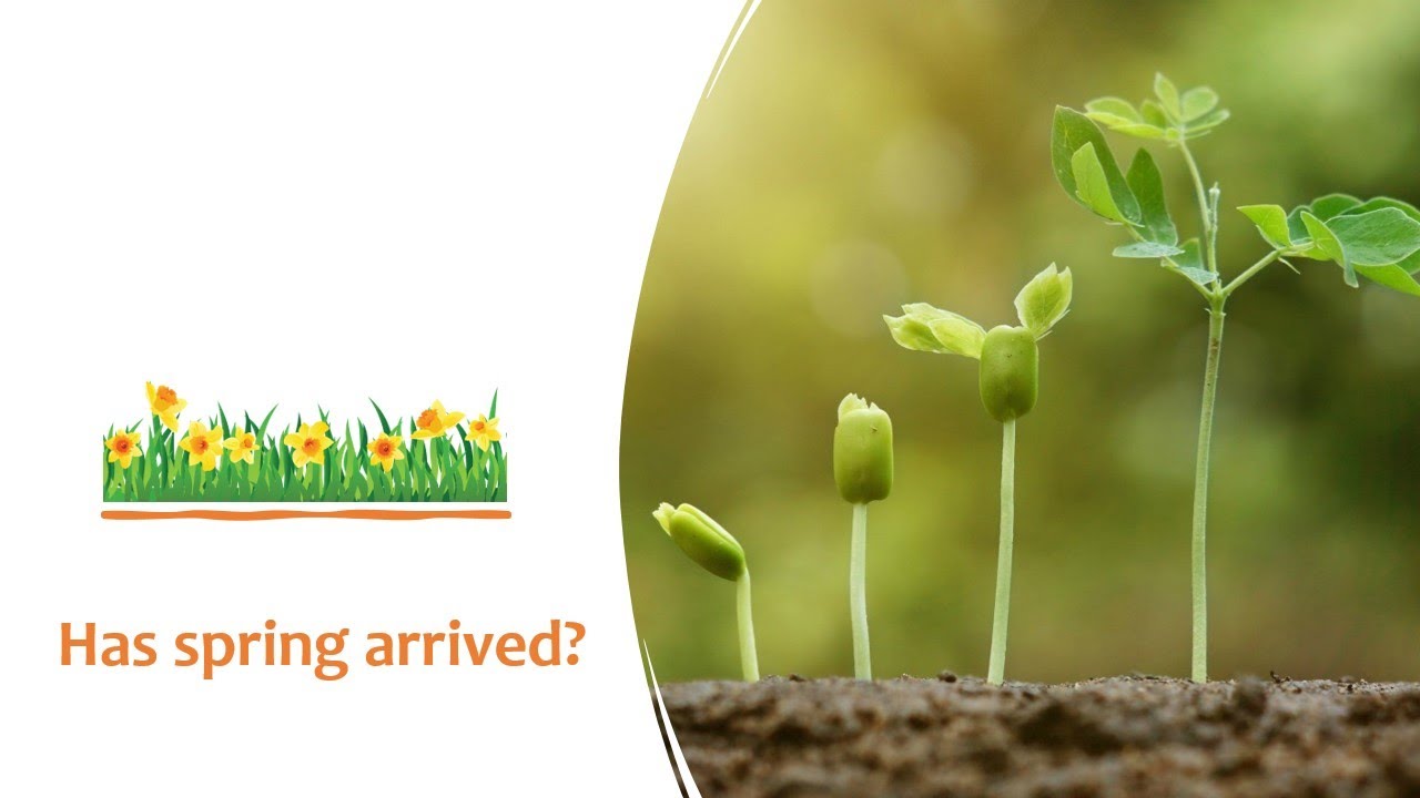 Has spring arrived - YouTube