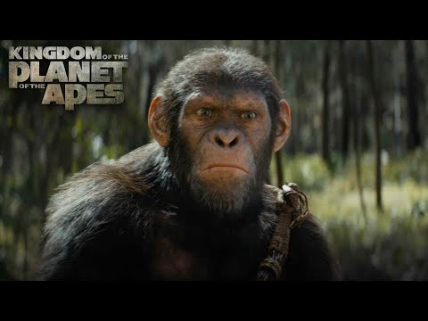 Kingdom of the Planet of the Apes | Exclusive IMAX® Trailer | In Cinemas May 10