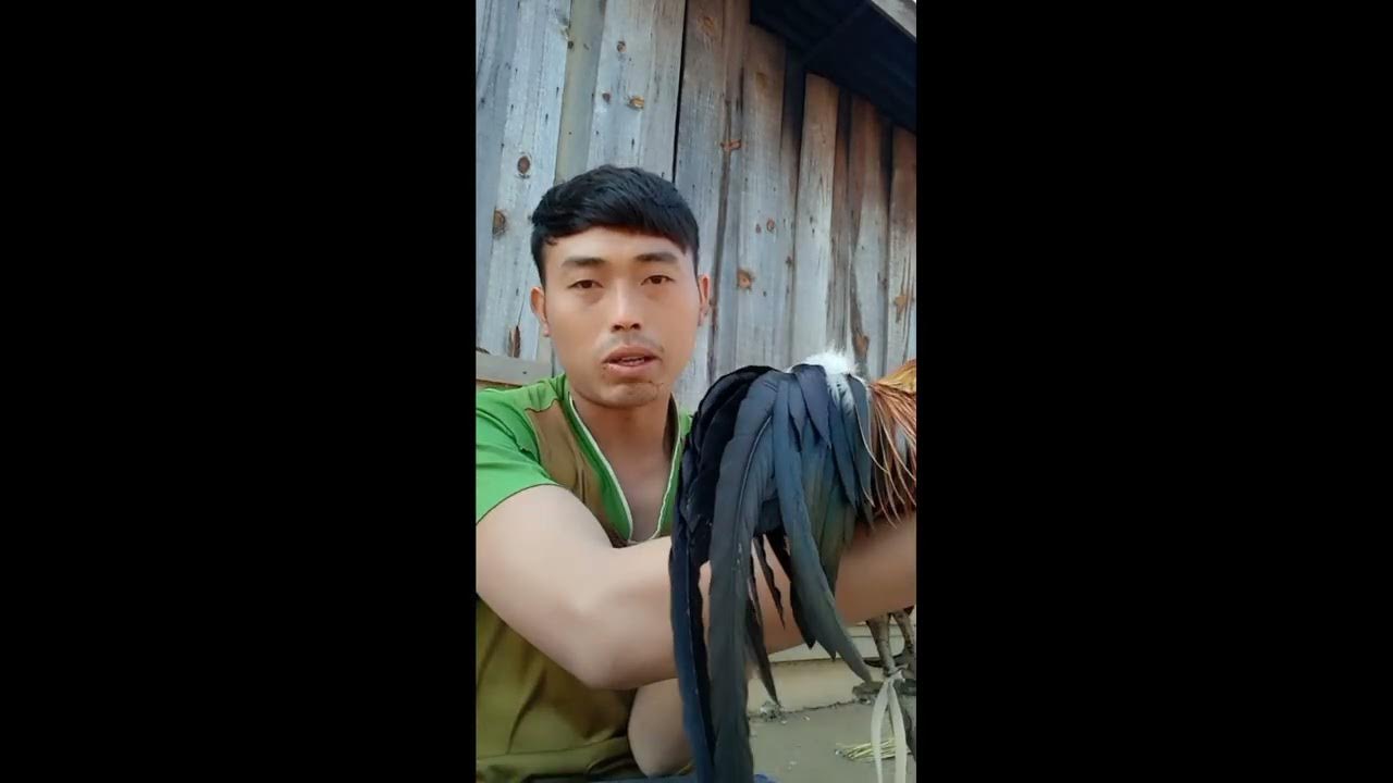 saib qaib dib zoo nkauj tuaj zoo nawb - YouTube