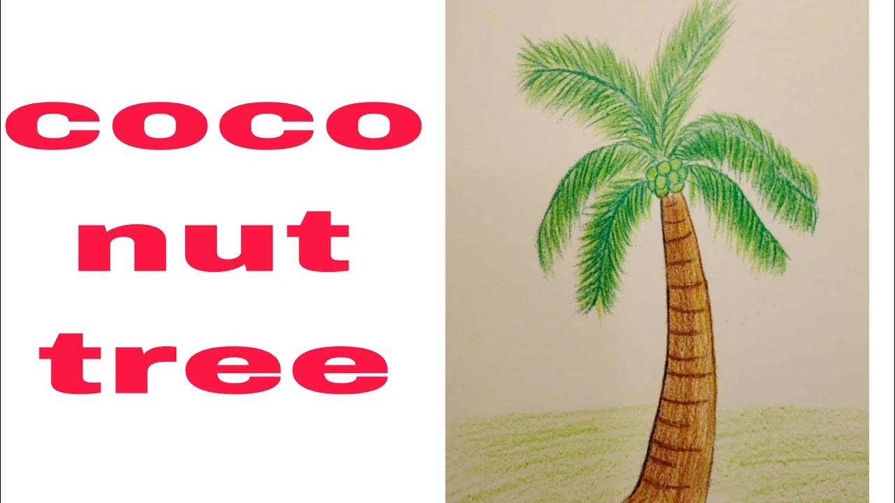 how to draw coconut tree। easy tree art step by step।। how to draw tree ...
