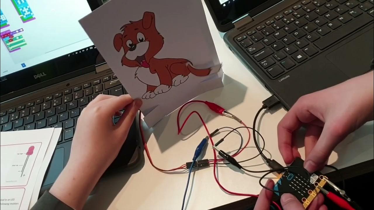 Microbit Servo Animals - YouTube