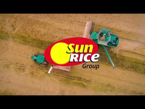 2019 Riverina Rice Harvest - YouTube