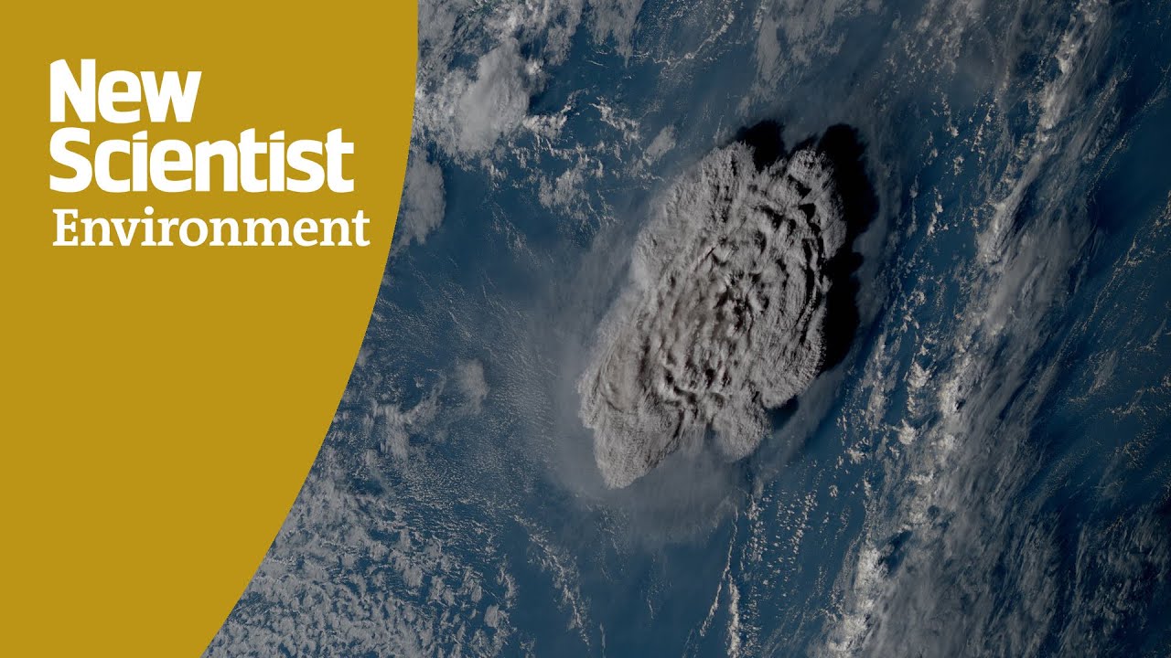 Tonga eruption's plume was the highest ever recorded for a volcano ...