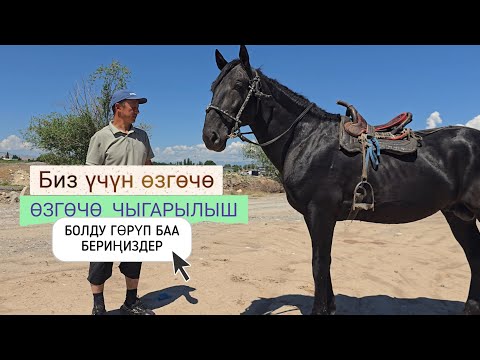 Т☎️ +996 220 011 286 Өтөө өзгөчө чыгарылыш деп ойлойбуз сиз кандай каментари калтырыңыздар #атбазар 