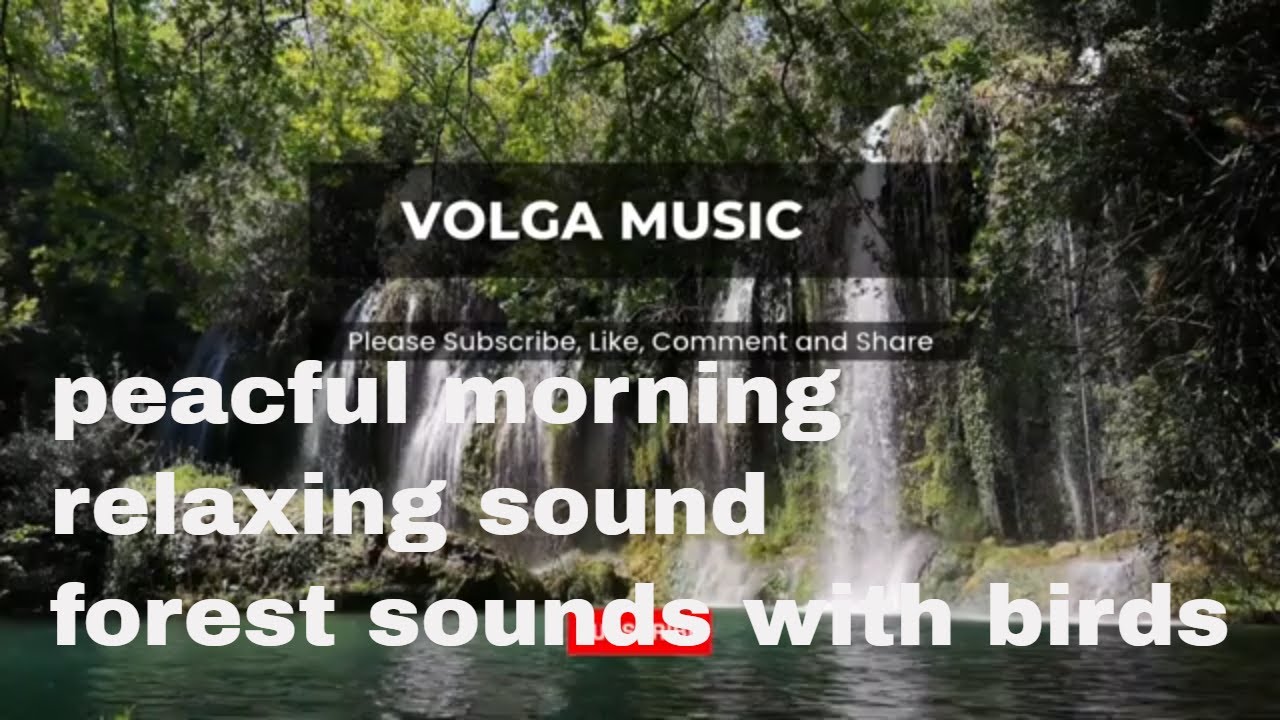 Fresh Morning Forest Birds,Water sounds, sound therapy - YouTube