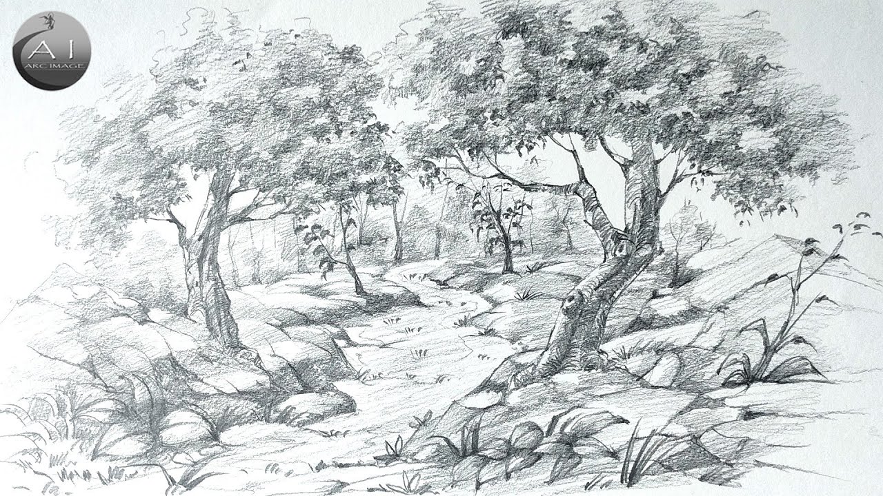 Draw Landscape of Forest step by step easy || #sketching || # ...