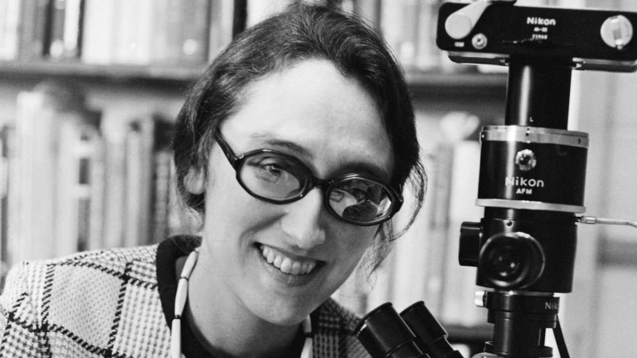 SYMBIOTIC EARTH Trailer - YouTube