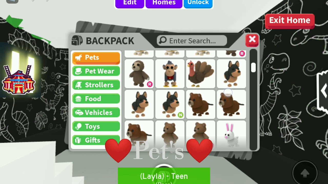 My Inventory in adopt me || Roblox - YouTube