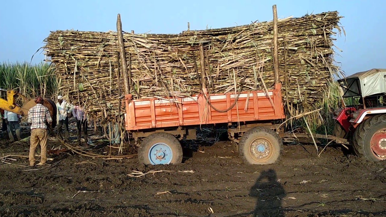 Chavan vikas - YouTube