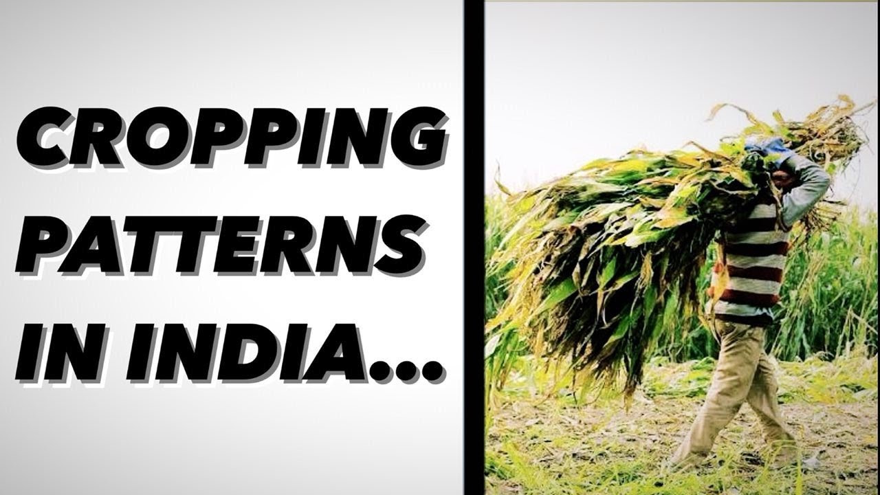 Cropping pattern in India | cropping system | cropping season in india ...