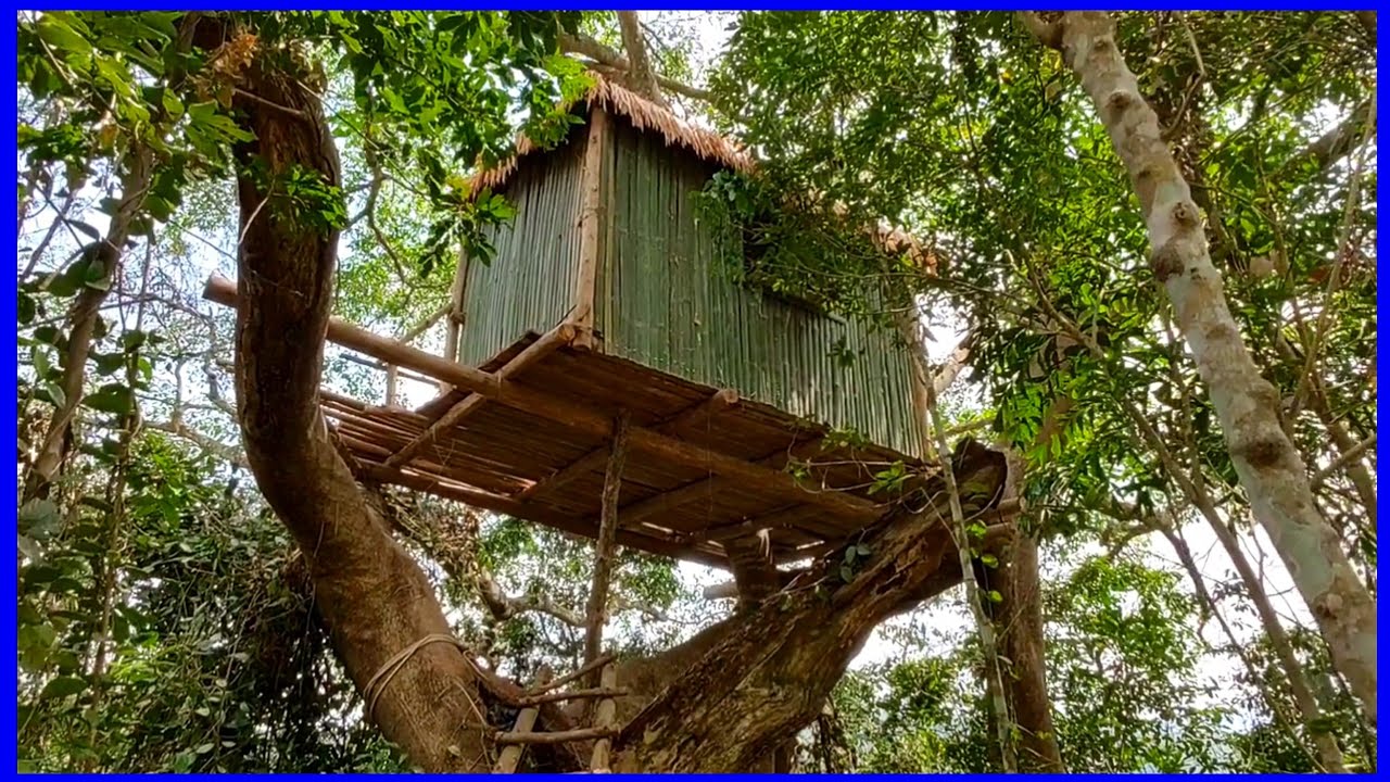 amazing tree house making process - YouTube