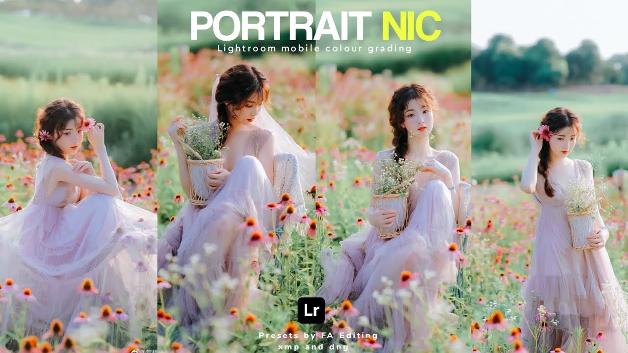 Portrait nic preset - no password free download presets xmp and dng ...